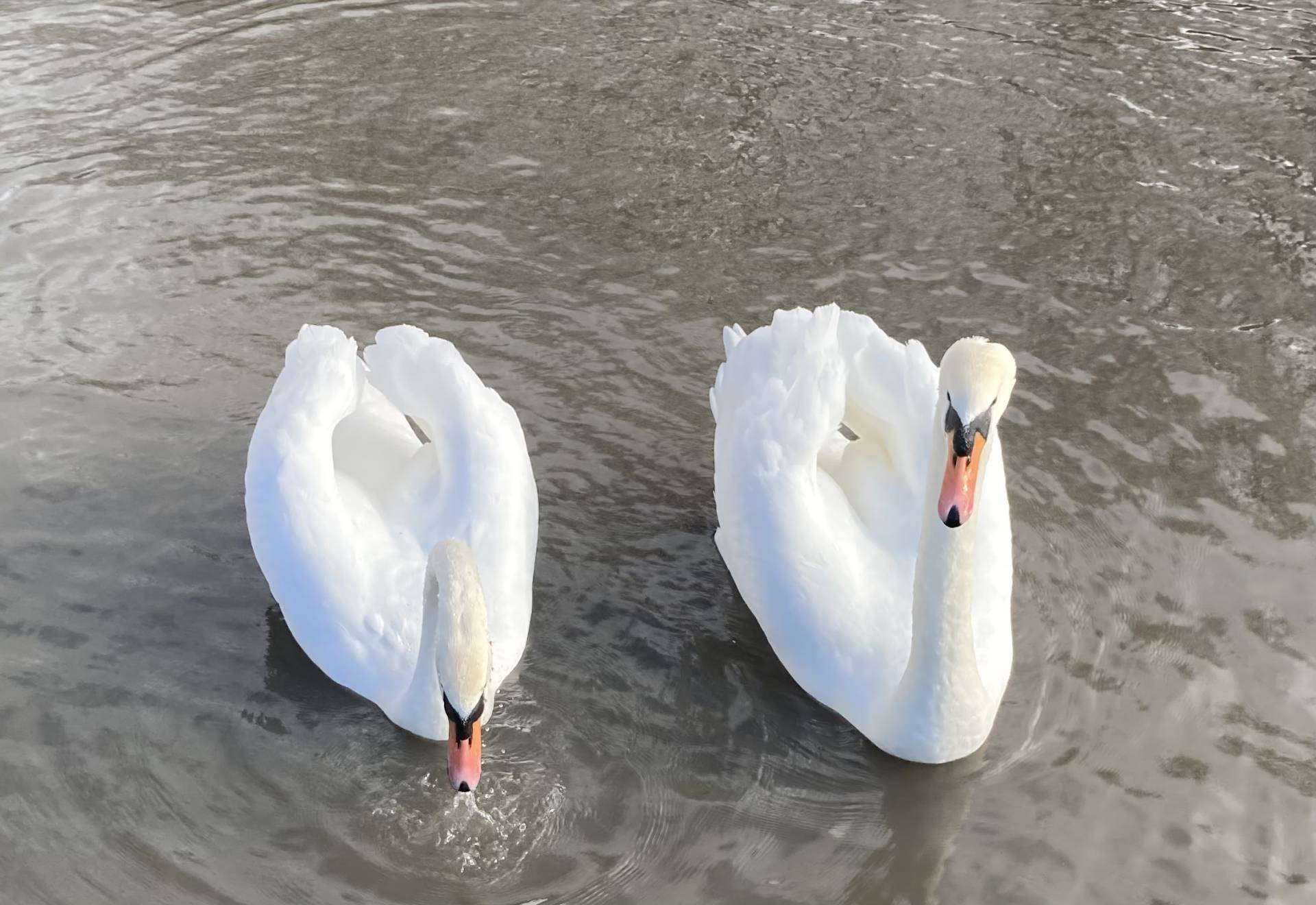 The Day of Lurve is almost here - The Valentine’s Gift guide - CLOTHES ...